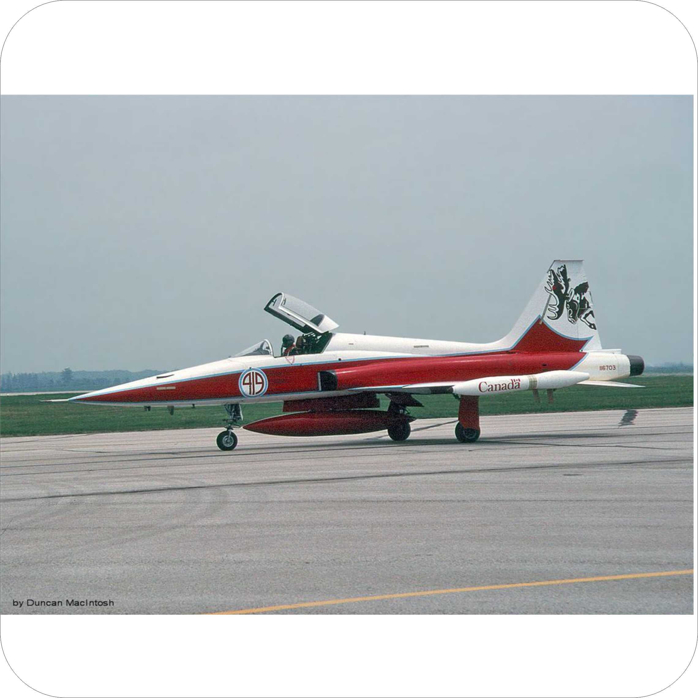396 - Canadair CF-5 / CF-116 - 419 Sqn - 1989 Special "Bruce the Moose ...